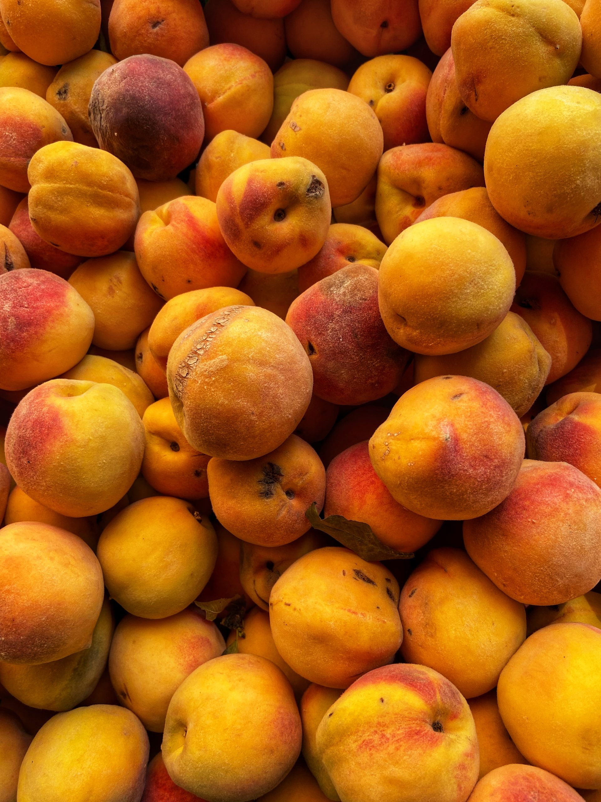 Où découvrir les techniques de pêche traditionnelles en Corée du Sud ...
